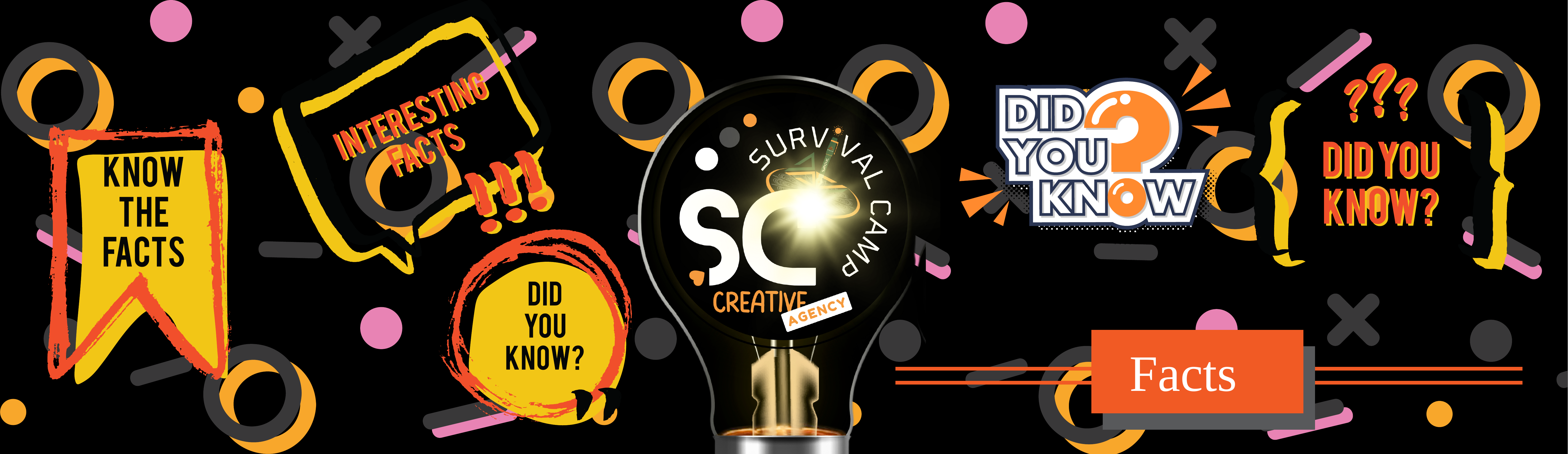 Survival Camp - Infographics and Data Visualization